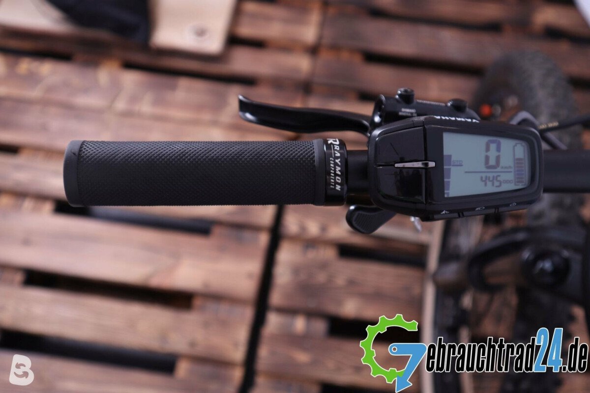 Raymon FullRay E-Seven 7.0 (Art.Nr. B103419M) 2021 used