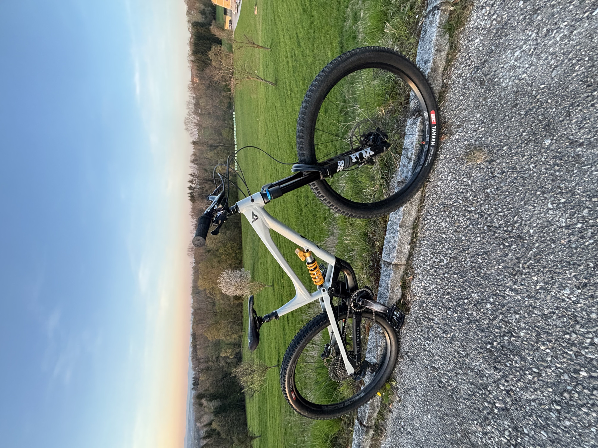 YT Industries Capra Shred 2021 usado