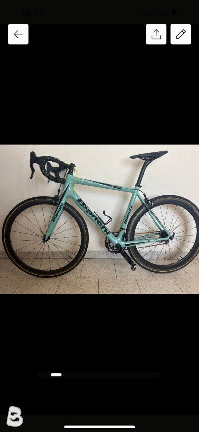 Bianchi Intrepida 2017 used