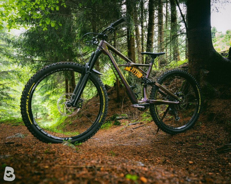 Specialized S-Works Enduro custom 2019 used