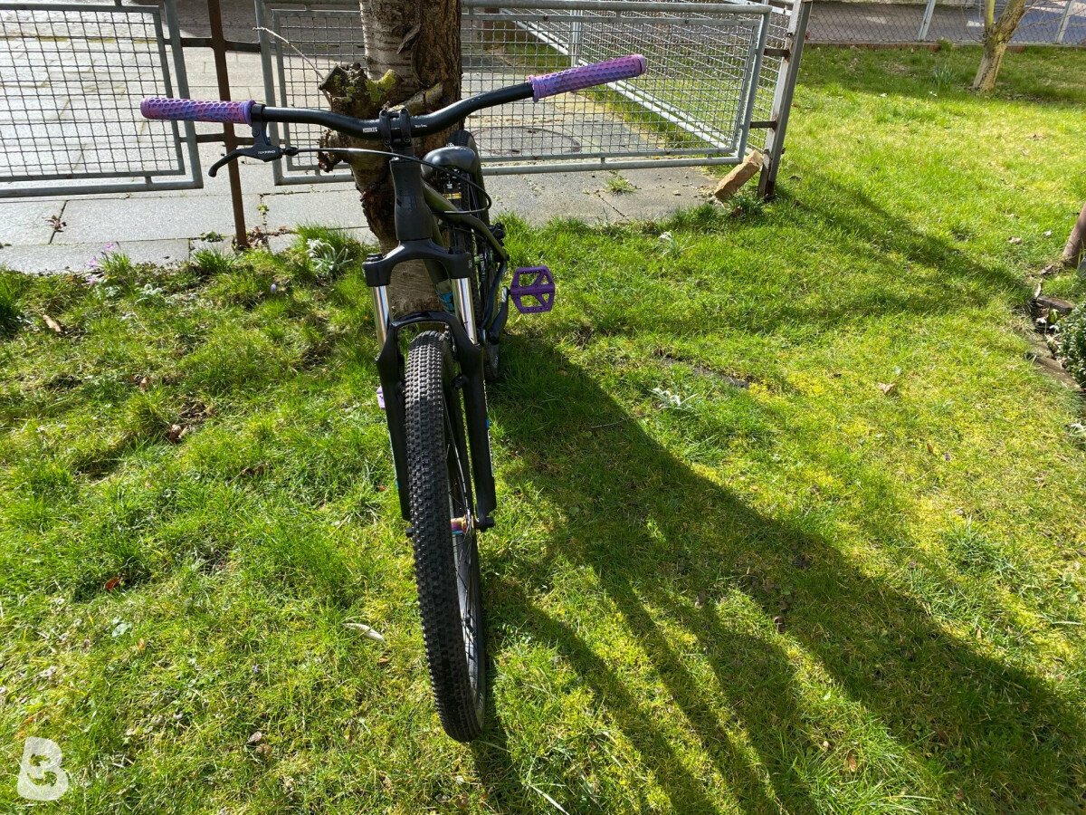 NS Bikes Zircus 2021 used