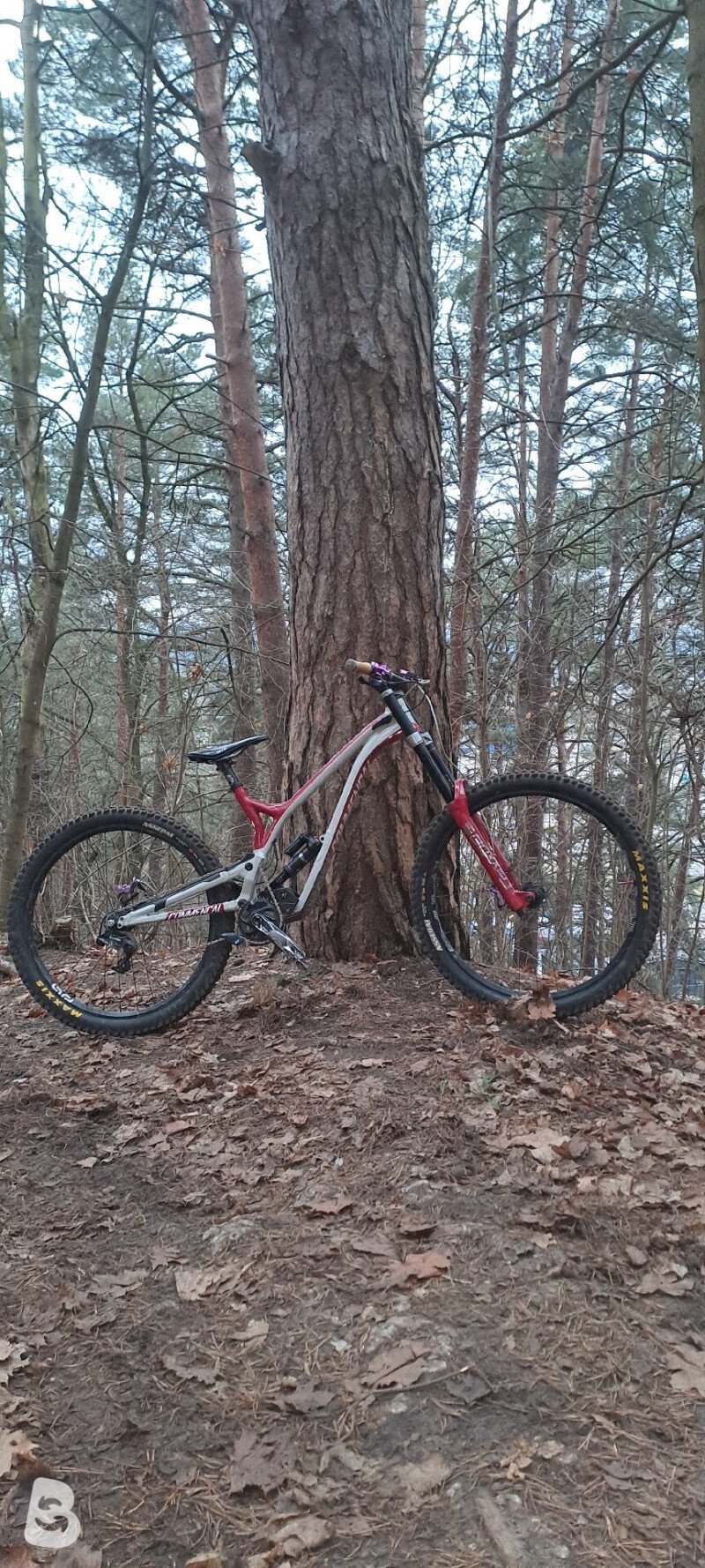 Commencal Supreme DH Team 2020 used