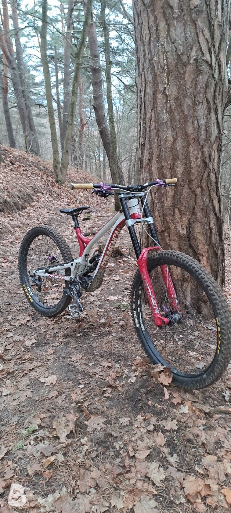 Commencal Supreme DH Team 2020 used