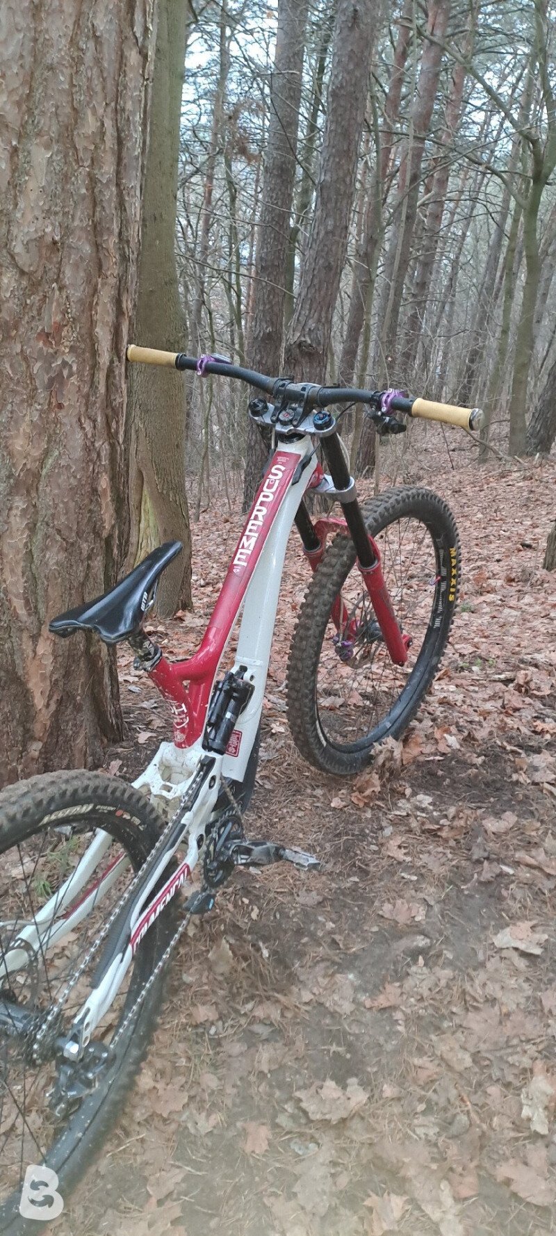 Commencal Supreme DH Team 2020 used