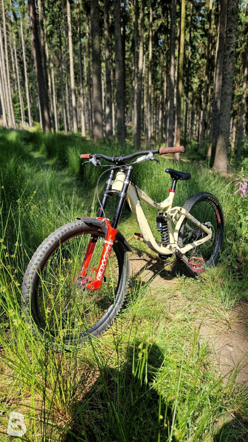 Giant Glory 2017 used