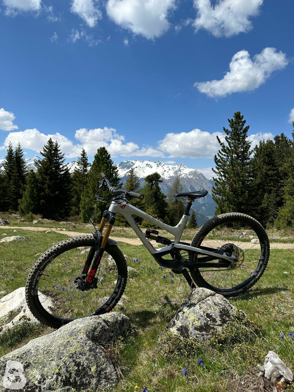 YT Industries Capra CF Pro Race 2020 used