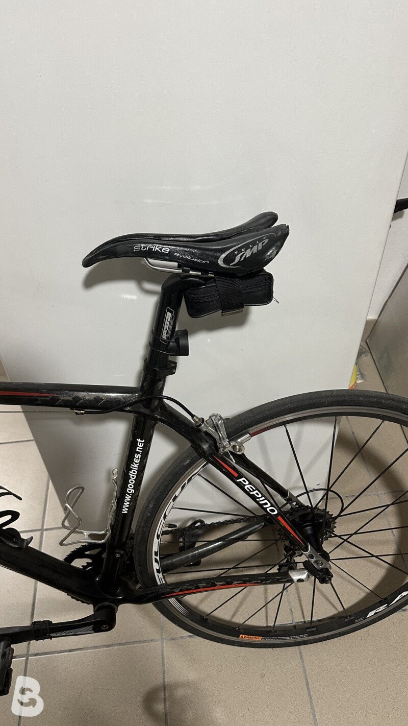 Pepino CHP 697 2013 used