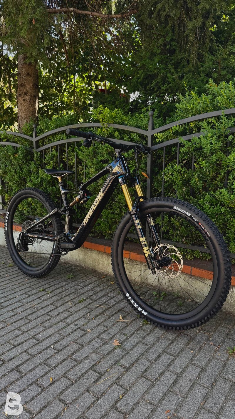 AMFLOW PL CARBON PRO 2026 usata