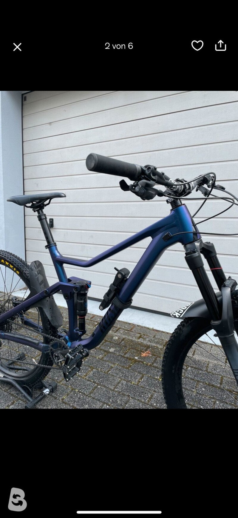 Rose Root Miller 1 2022 used