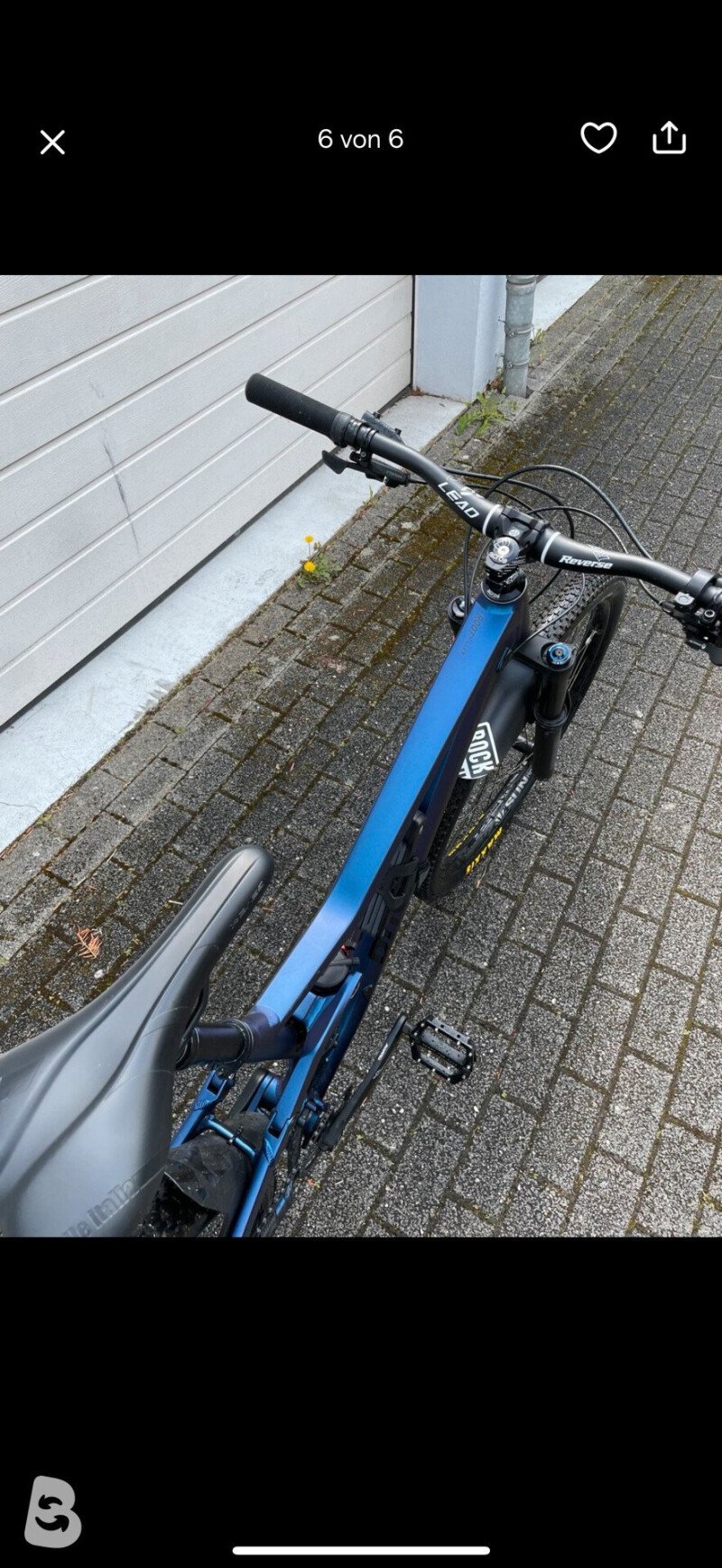 Rose Root Miller 1 2022 used