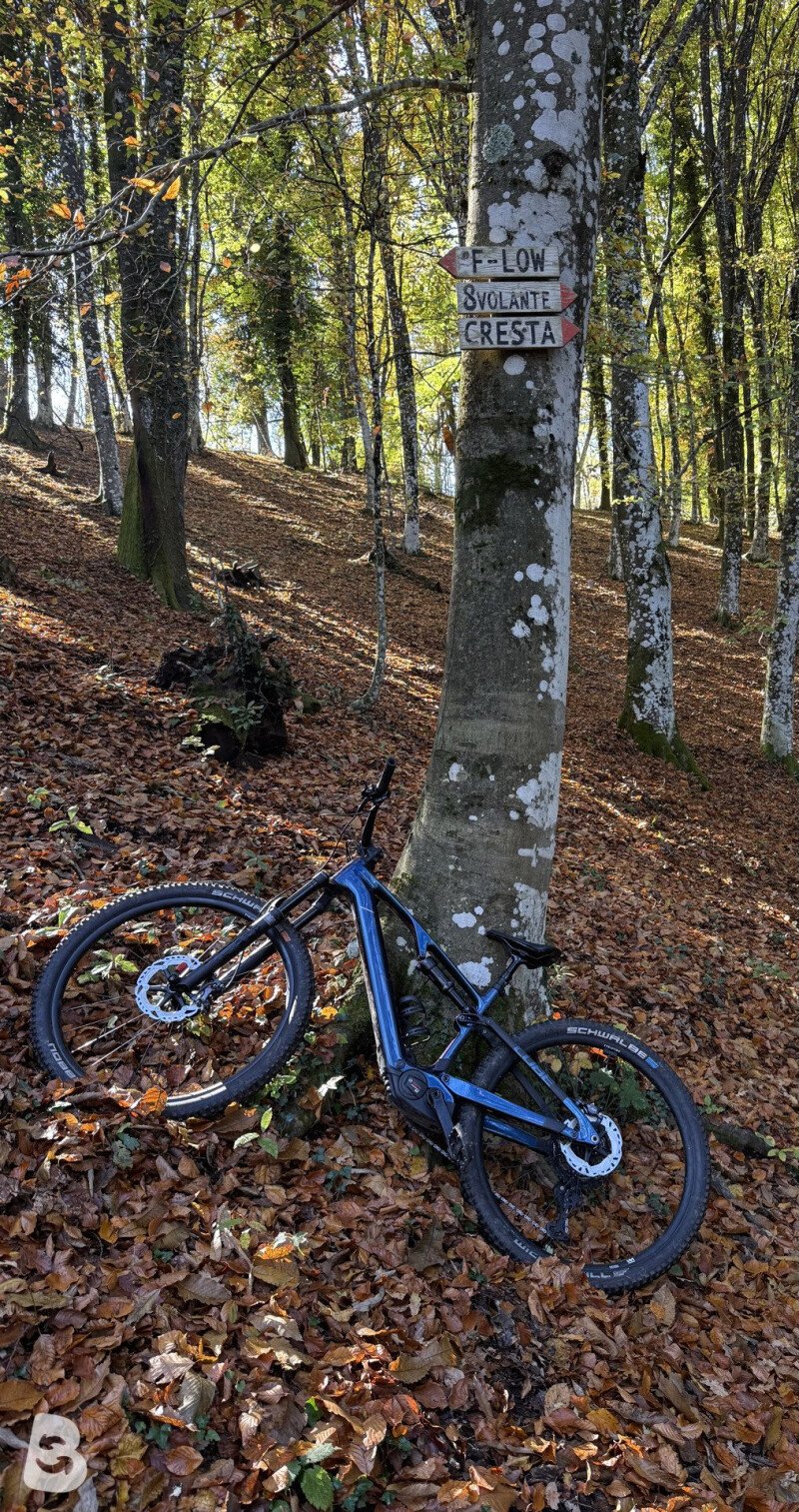 Cube AMS HYBRID ONE44 C:68XSLX 400X 29 2025 used