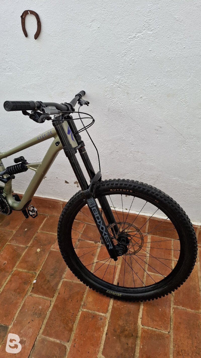 Specialized Status DH 170 2024 usata