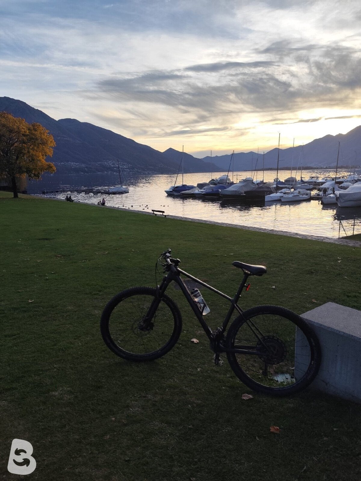 Canyon Exceed CF SL 8.0 Pro Race 2018 used