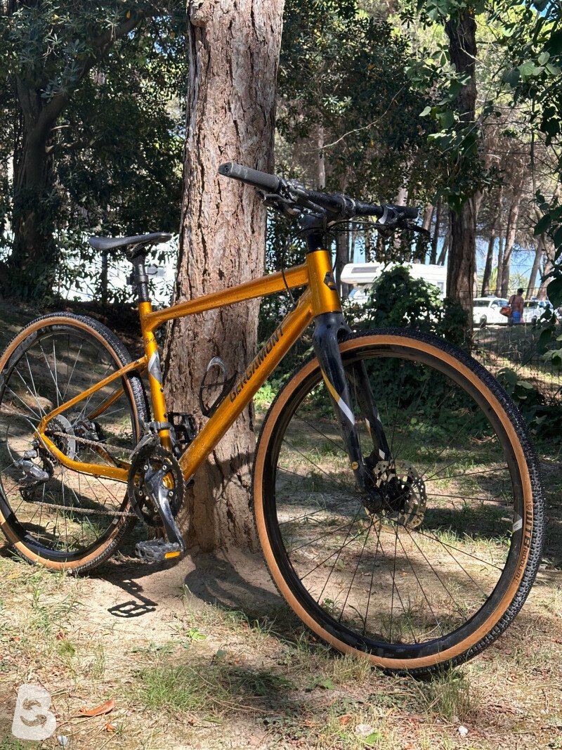 Bergamont SWEEP 4 2022 used