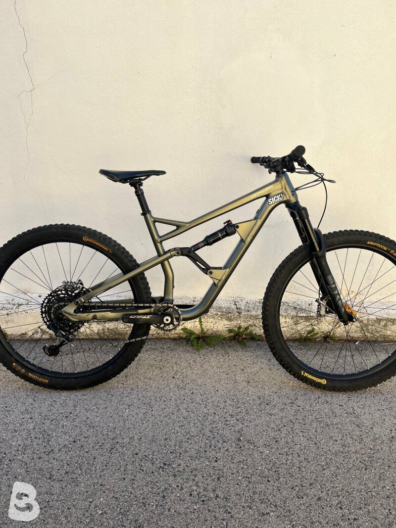 Cannondale Jekyll 1 2019 used