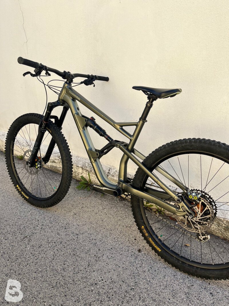 Cannondale Jekyll 1 2019 used