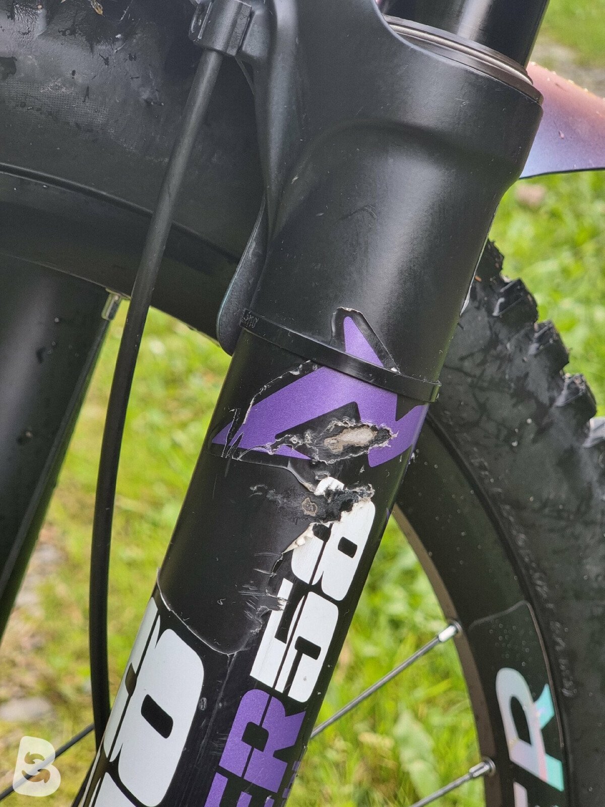 Canyon Sender AL 6.0 2021 used