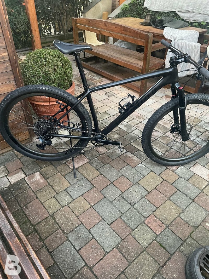 Specialized Epic Expert 2020 used
