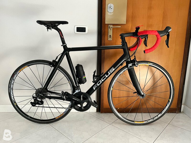 Focus Cayo 2020 used