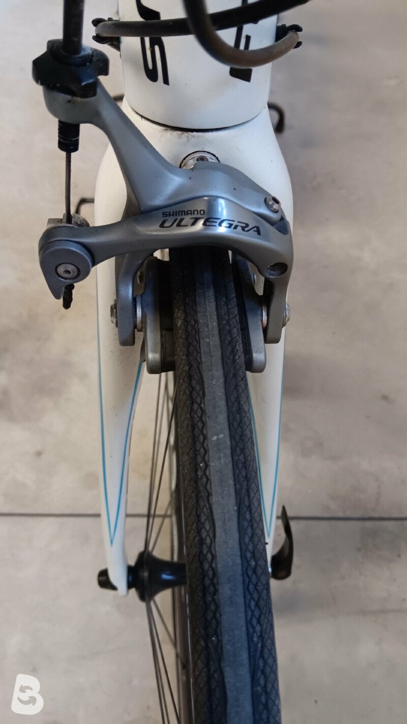 Focus Cayo 2014 used