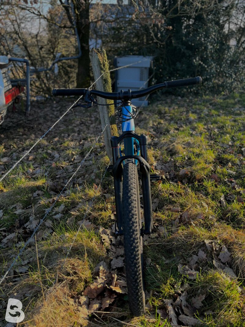 Rose THE BRUCE 2 2021 used