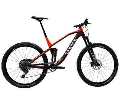 Canyon neuron on 2019 store