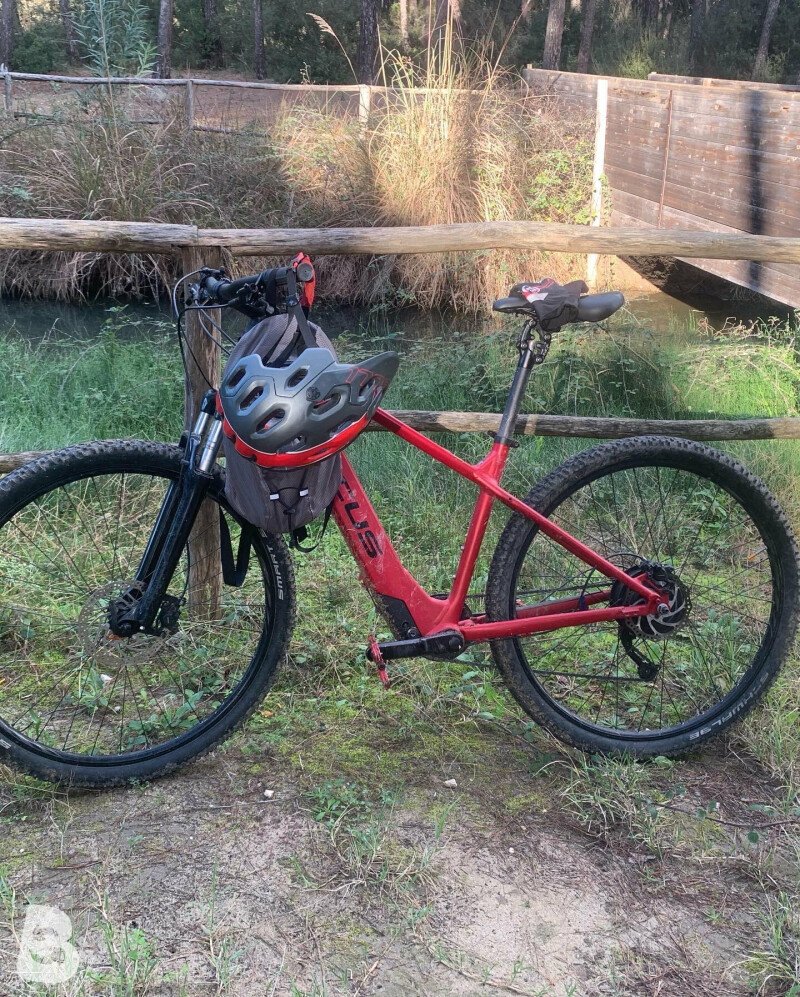 Focus Whistler 2021 used