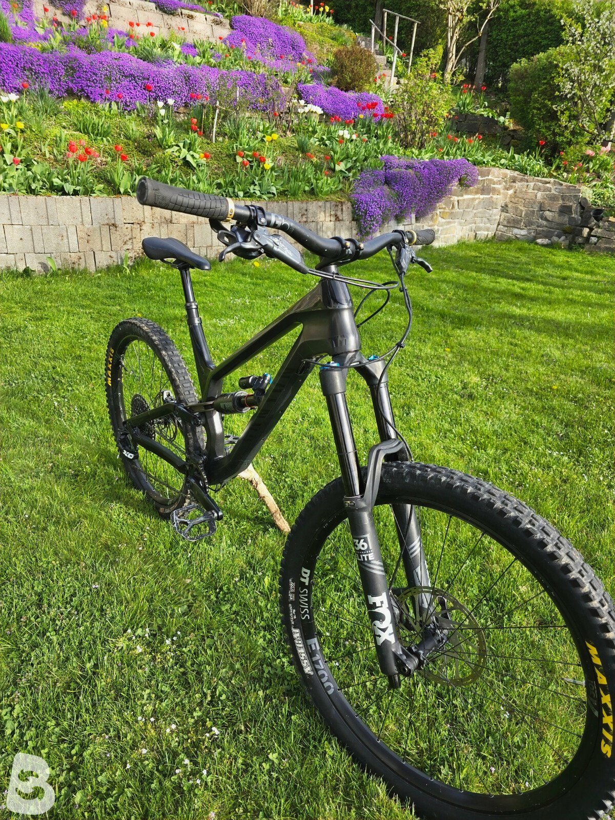 Canyon Torque CF 8.0 2019 used
