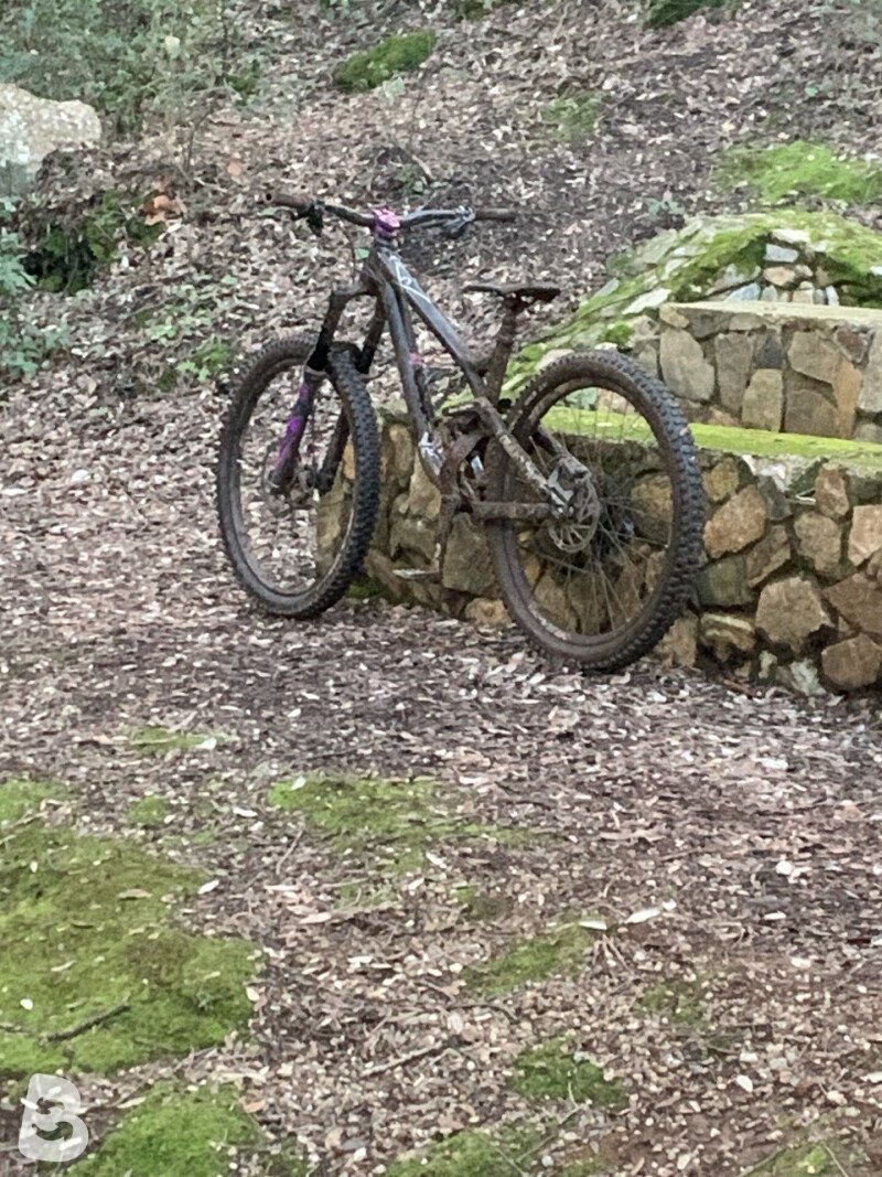 Commencal Meta AM 2017 used