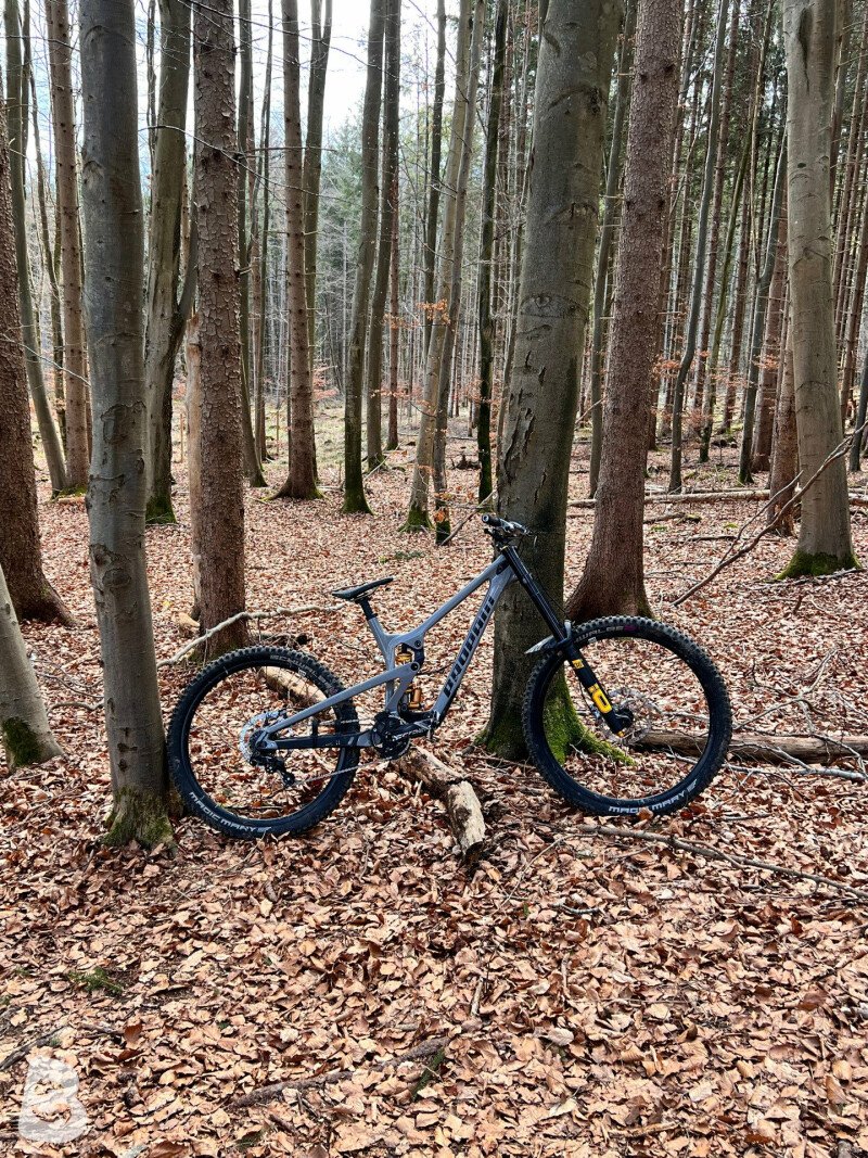 Propain Rage CF High End 2022 used