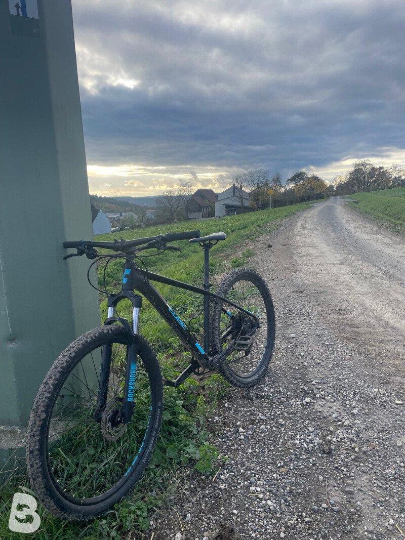 Cube Analog 2021 used