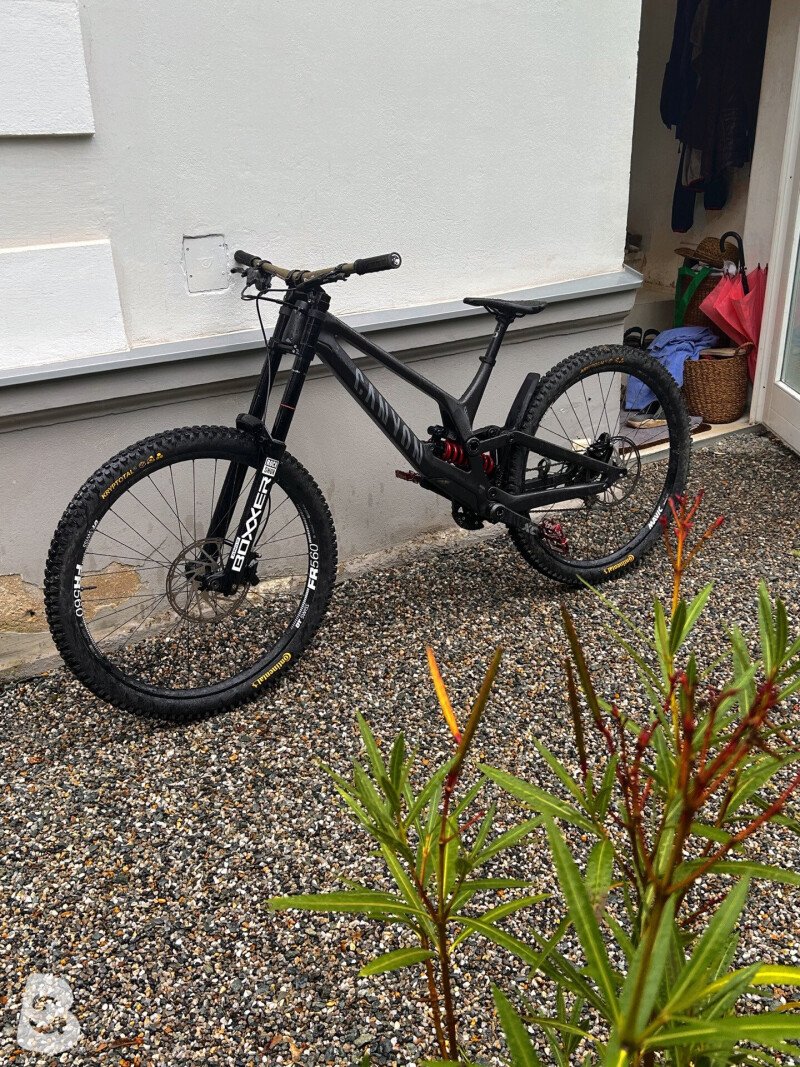 Canyon Sender CFR 2024 used