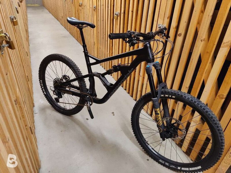 Cannondale jekyll 4 2018 store